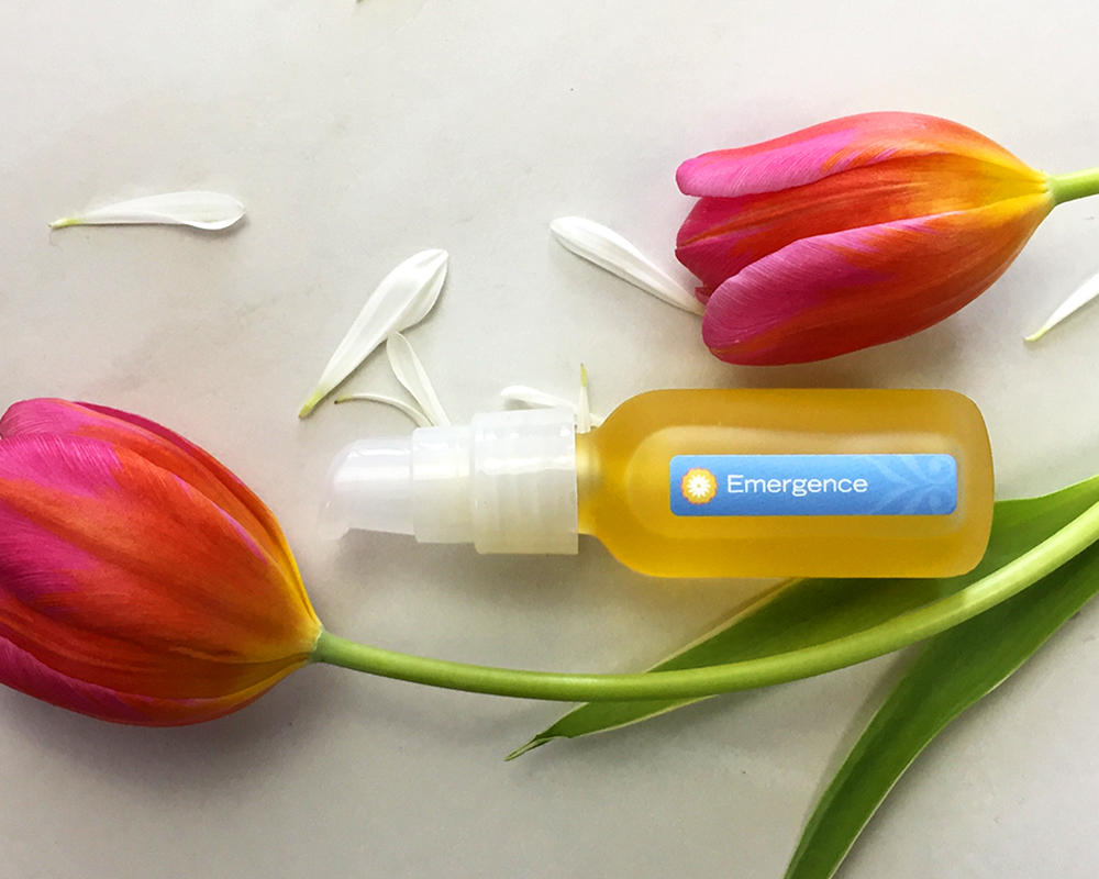 Top 10 New and Noteworthy Picks for Spring | Yoga Digest